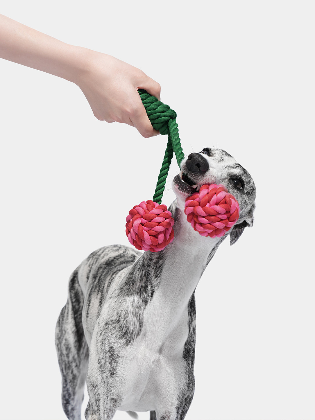 Cherry Knot Rope Toy | VETRESKA Official
