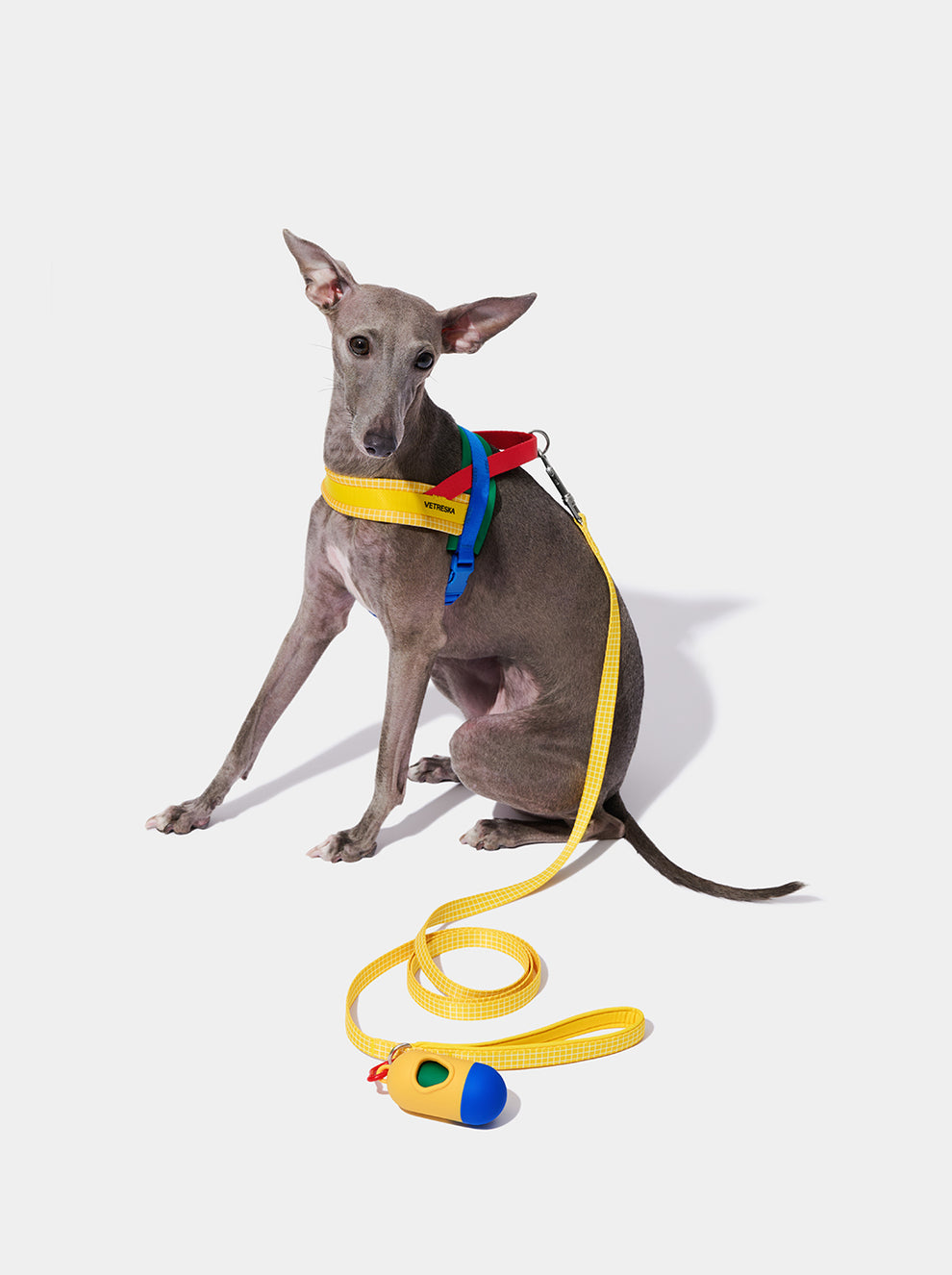 Shop VETRESKA | Chroma Pet Walk Kit (Yellow)