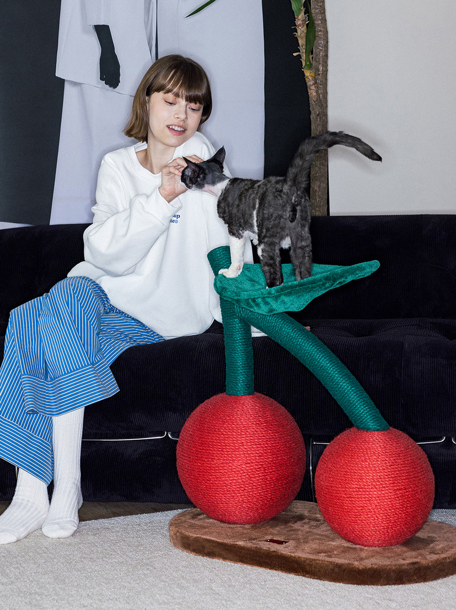 Shop VETRESKA | Cat Toys, Furniture, Scratch Posts, Litter & More