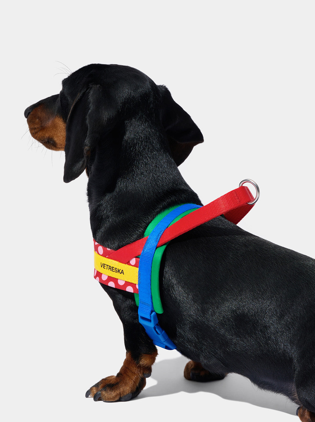 Shop VETRESKA | Chroma Pet Harness & Leash Set (Red)