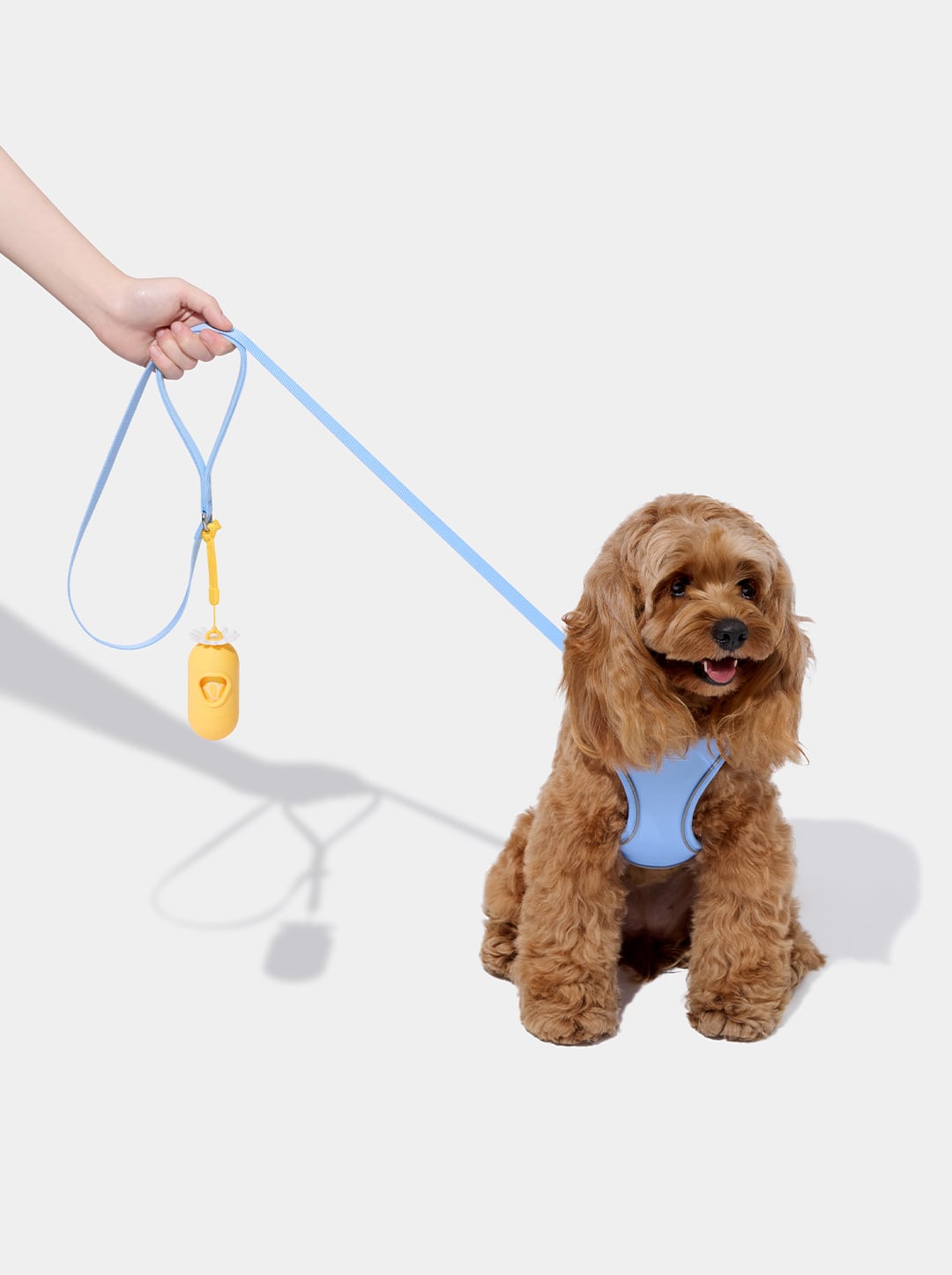 Daisy Pet Harness & Leash Set