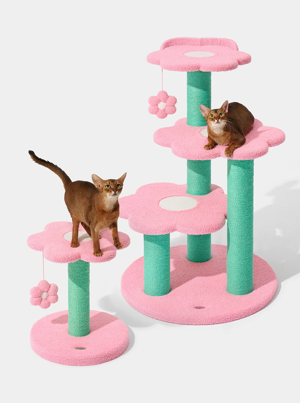 Flora Cat Climber - Two Platforms