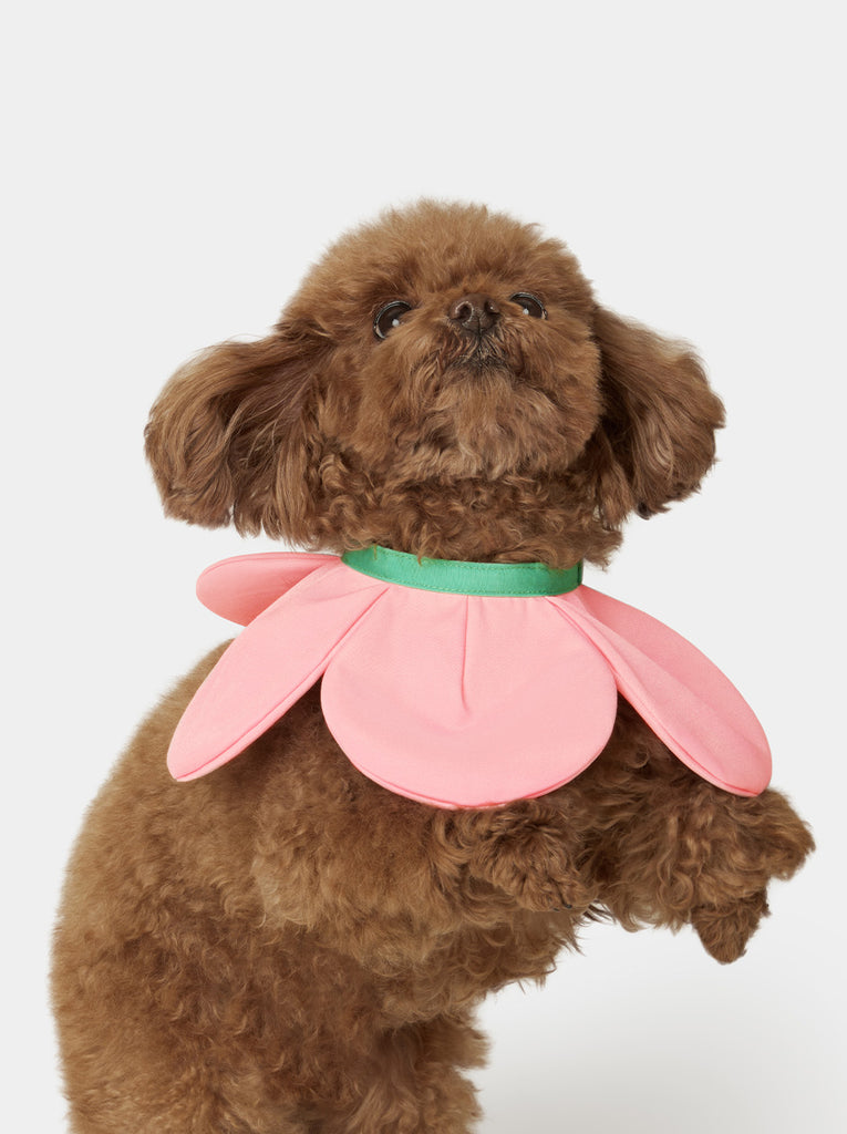 Flora Pet Bib | VETRESKA Official