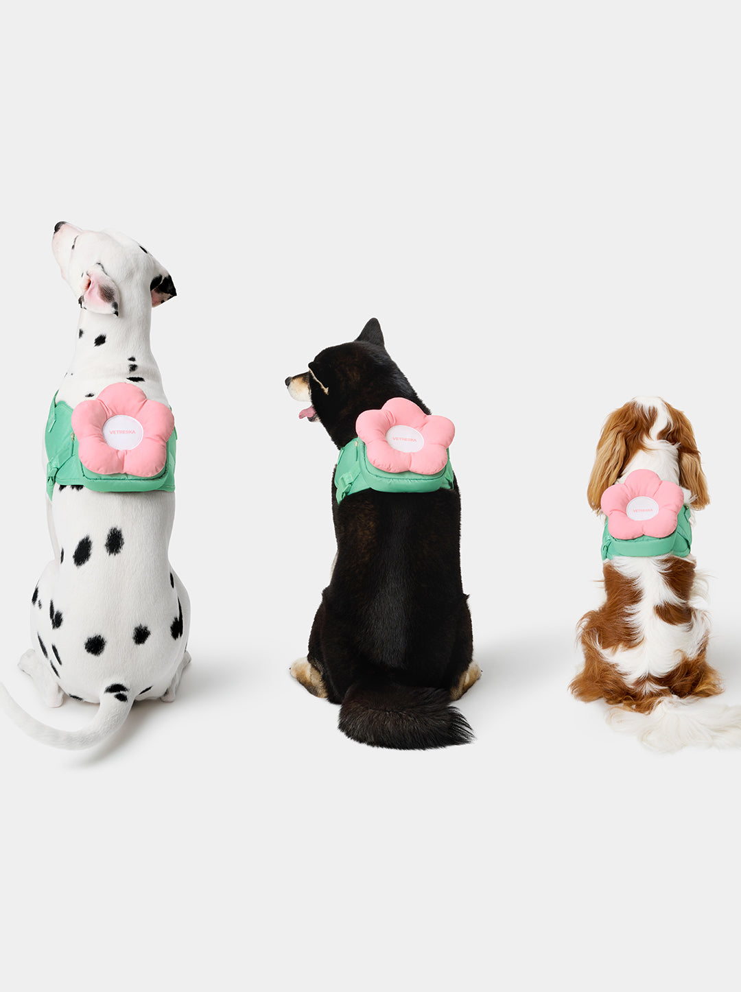 Shop VETRESKA | Flora Pet Harness & Backpack 3 in 1 Set – VETRESKA Official