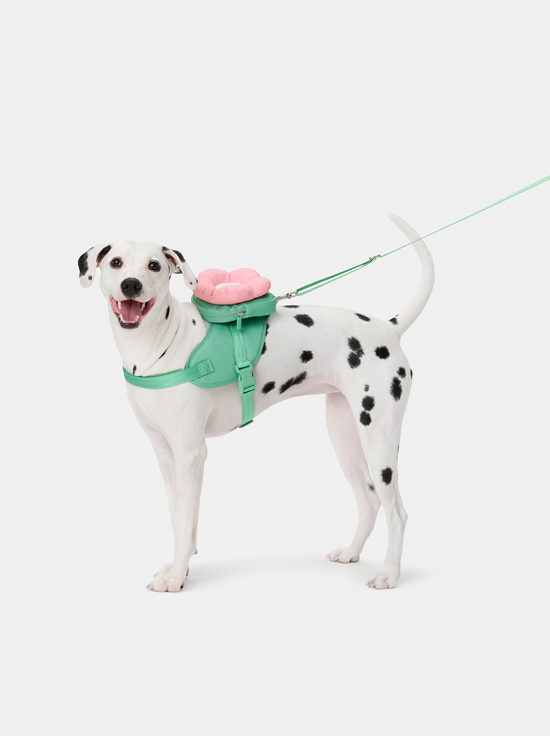 Shop VETRESKA | Flora Pet Harness & Backpack 3 in 1 Set – VETRESKA Official