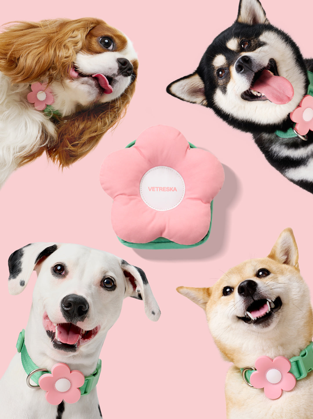 Shop VETRESKA | Flora Pet Harness & Backpack 3 in 1 Set – VETRESKA Official