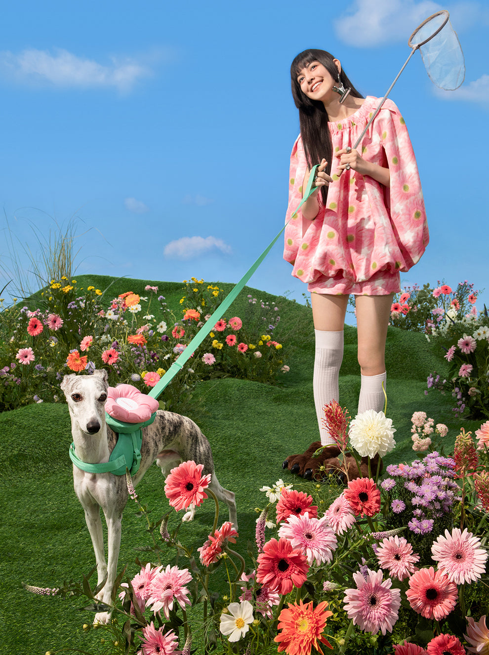 Shop VETRESKA | Flora Pet Harness & Backpack 3 in 1 Set – VETRESKA Official