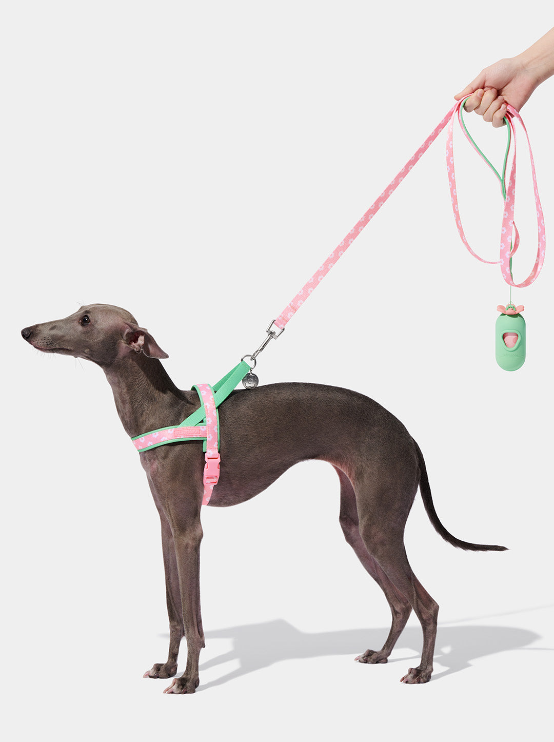 Shop VETRESKA | Flora Pet Harness & Leash Set | VETRESKA Official
