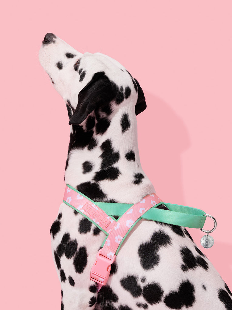 Flora Pet Harness & Leash Set | VETRESKA Official