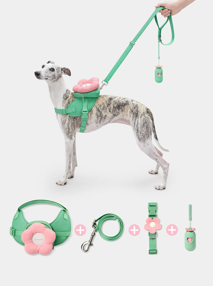 Shop VETRESKA | Flora Collection – VETRESKA Official