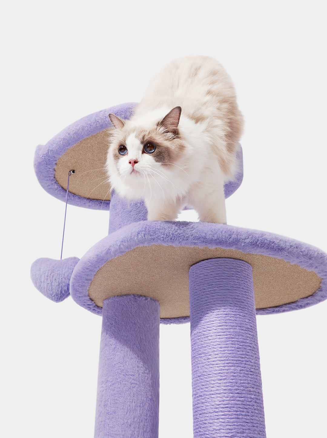Shop VETRESKA | Heartpurrple Cat Climber (Four Platforms) – VETRESKA ...