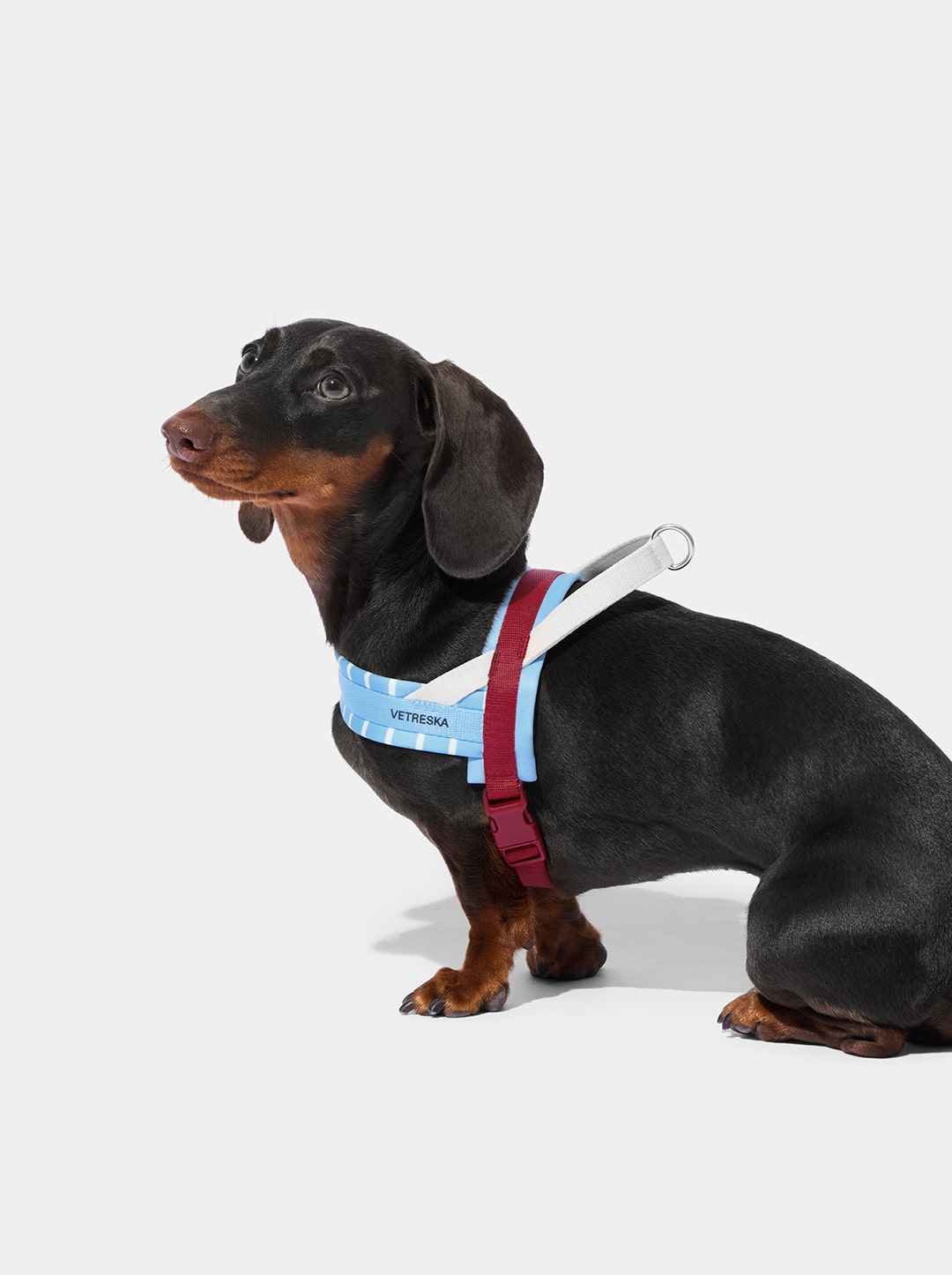 Mist & Merlot Pet Harness & Leash Set