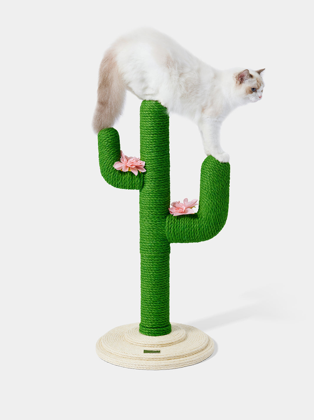 Shop VETRESKA | Cactus Collection
