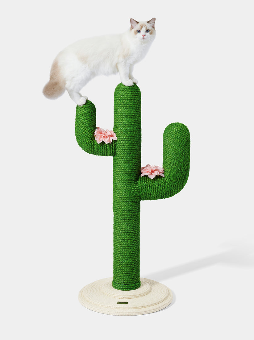 Shop VETRESKA | Oasis Cactus Cat Tree 41”