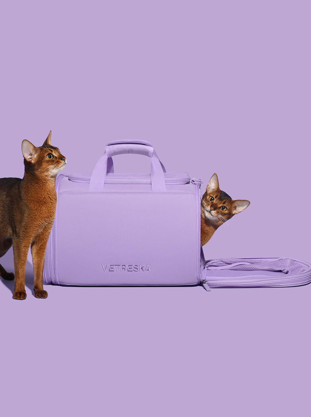 Shop VETRESKA | Violet Pet Carrier | VETRESKA Official