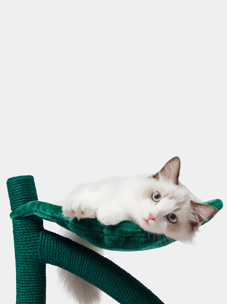 Shop VETRESKA | Cherry Cat Tree | VETRESKA Official
